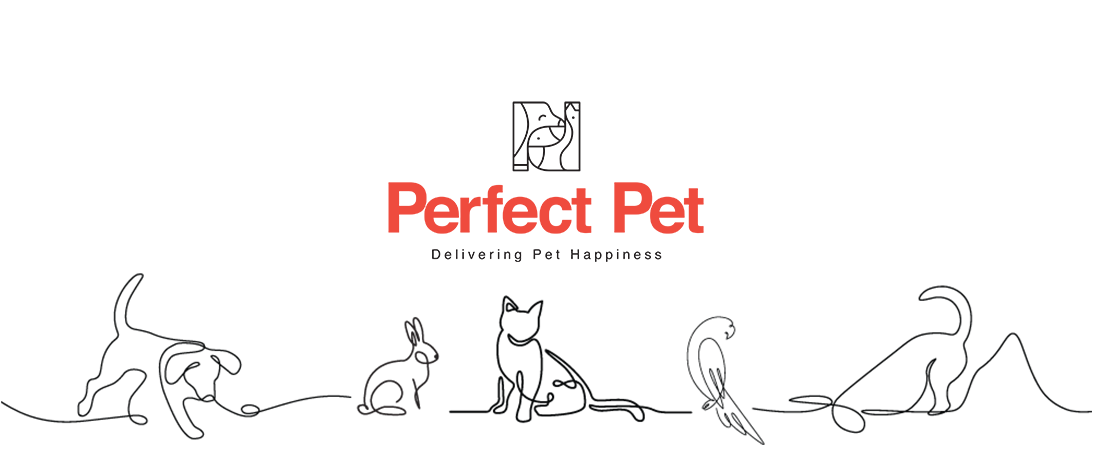 Perfect Pet IKE. - Value Quests