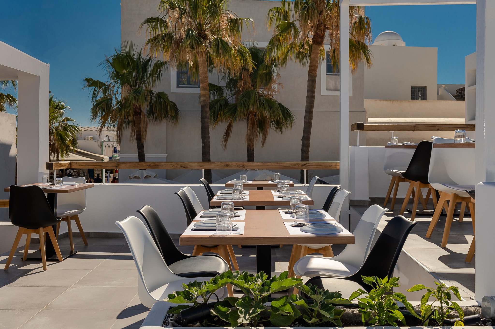 The Greek Philosophy IKE - Value Quests